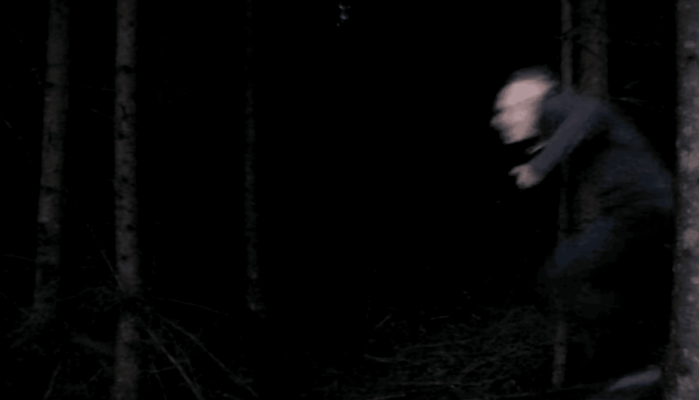 16 Real Photos That Just Might Contain Goblins