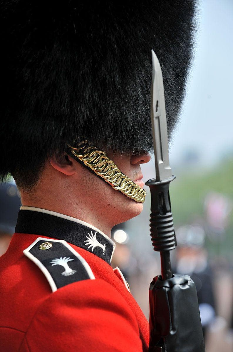 What It's Actually Like To Guard The Queen, According To Former Members ...