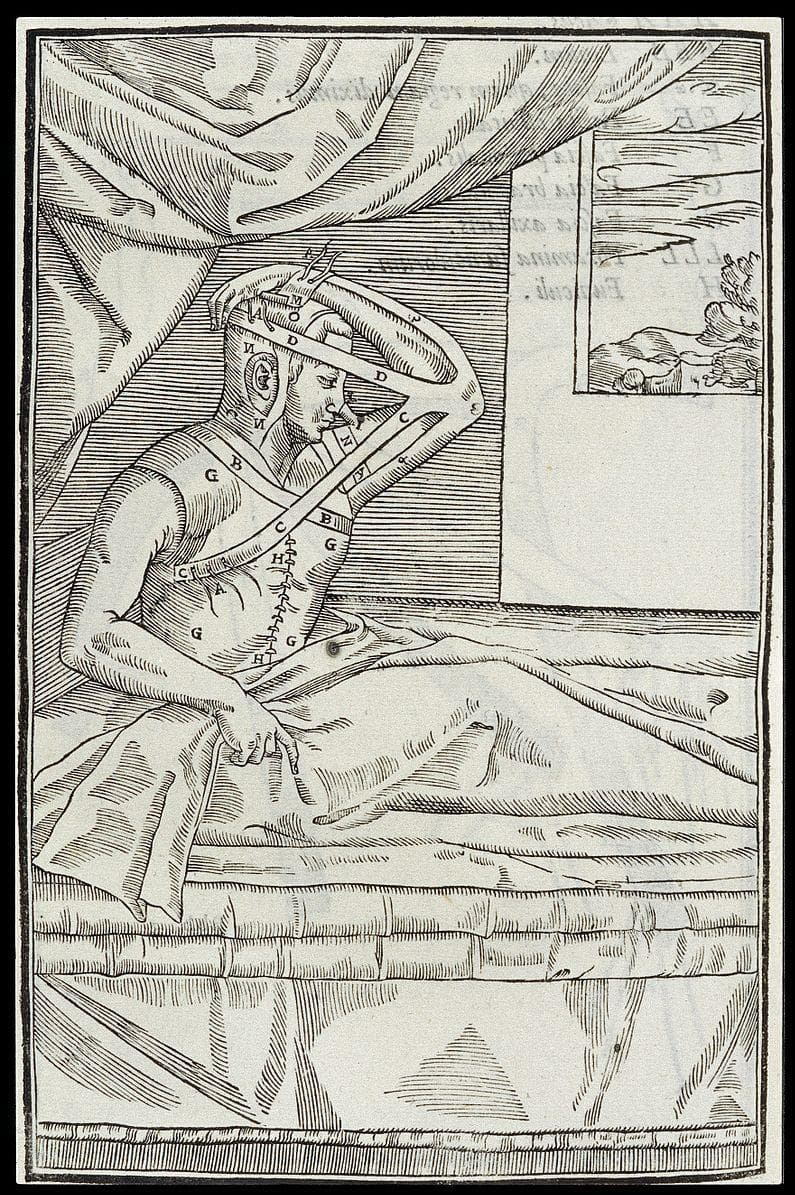 The First Nose Job Took Place In The 6th Century, And There's More ...