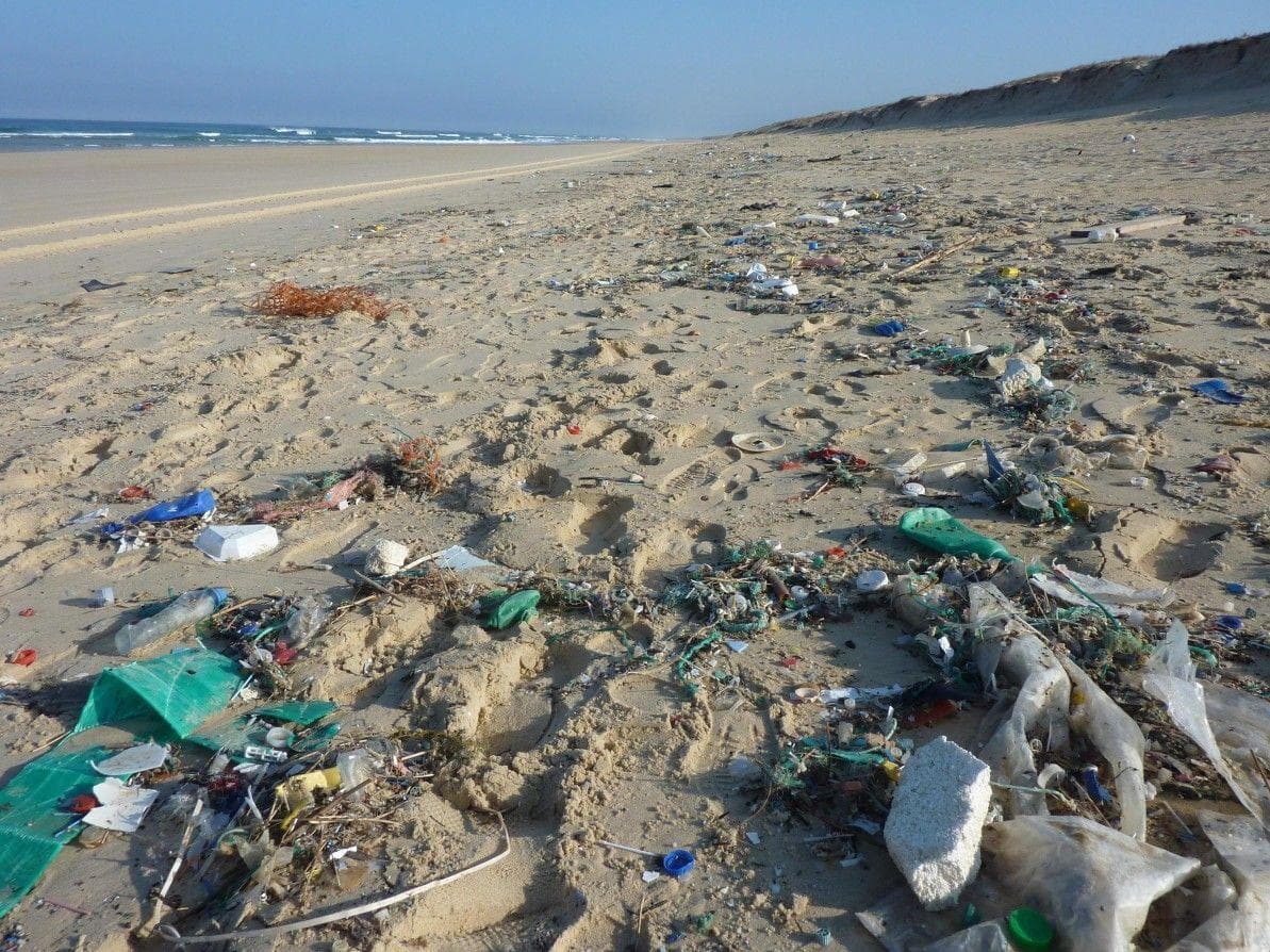 Is Lake Michigan Safe To Swim In? 11 Reasons It Can Be Dangerous