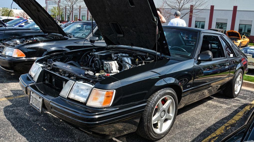 All Ford Hatchbacks | List of Hatchbacks Made By Ford