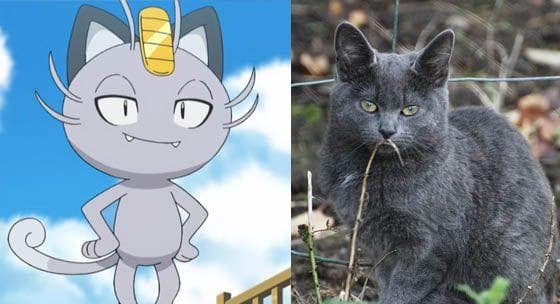 How Pokémon's Alola Region Mirrors Hawaii And Its History