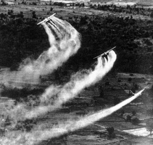 The Effects Of Agent Orange During The Vietnam War (12 Photos)