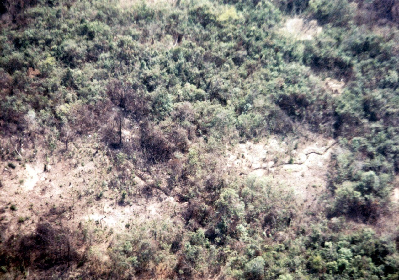 The Effects Of Agent Orange During The Vietnam War (12 Photos)