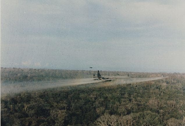 The Effects Of Agent Orange During The Vietnam War (12 Photos)