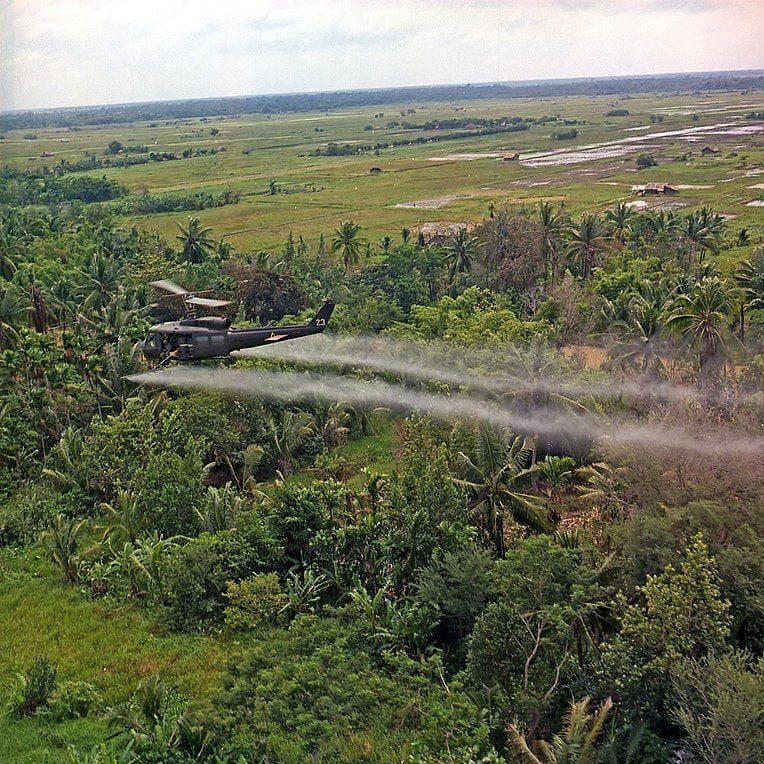The Effects Of Agent Orange During The Vietnam War (12 Photos)