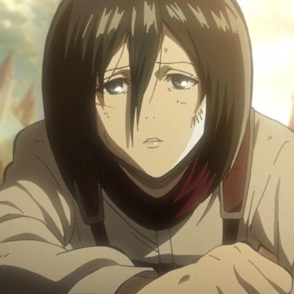 The 10+ Best Mikasa Ackerman Quotes (With Images)
