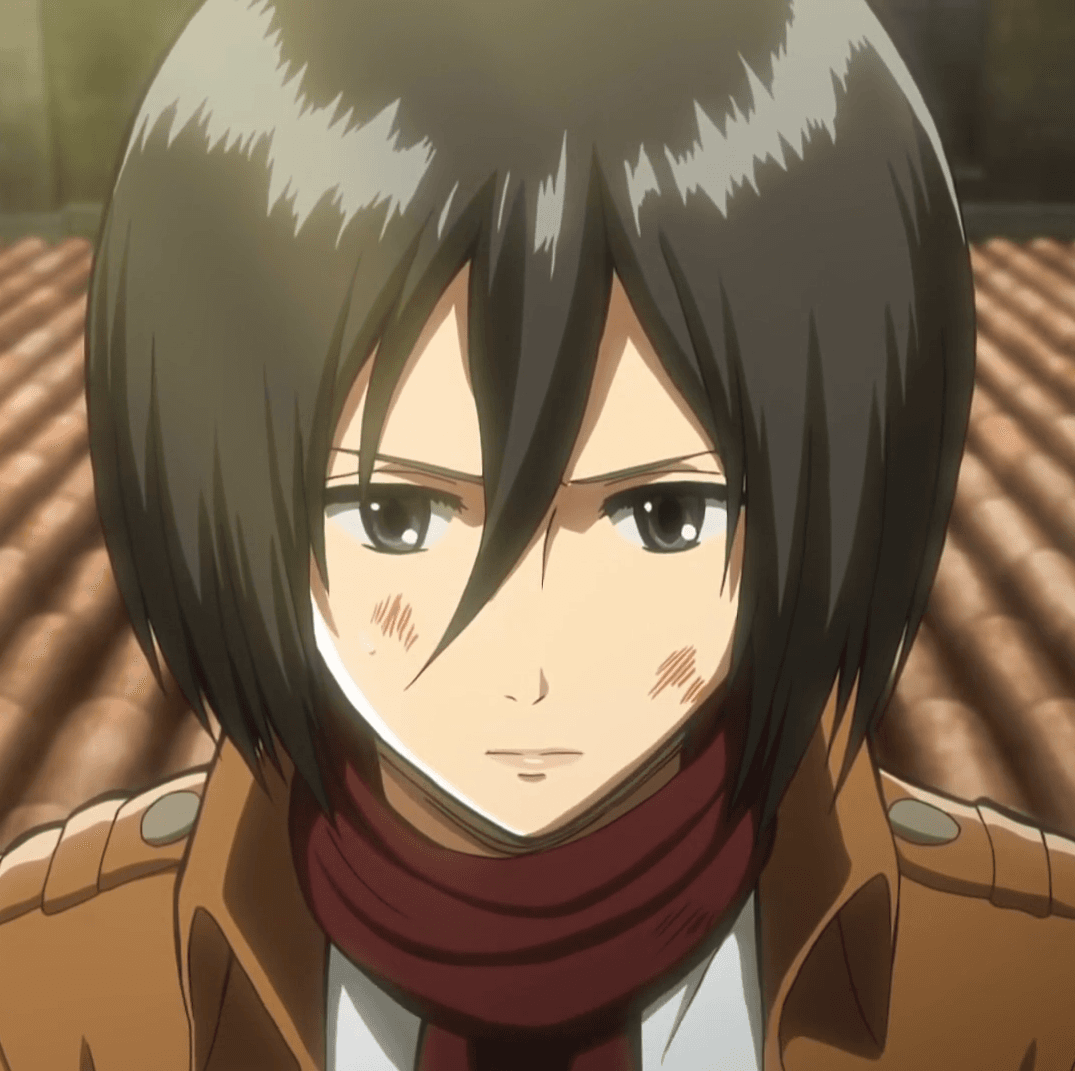 Mikasa Ackerman Quotes