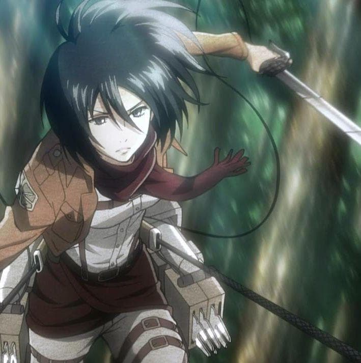 The 10+ Best Mikasa Ackerman Quotes (With Images)