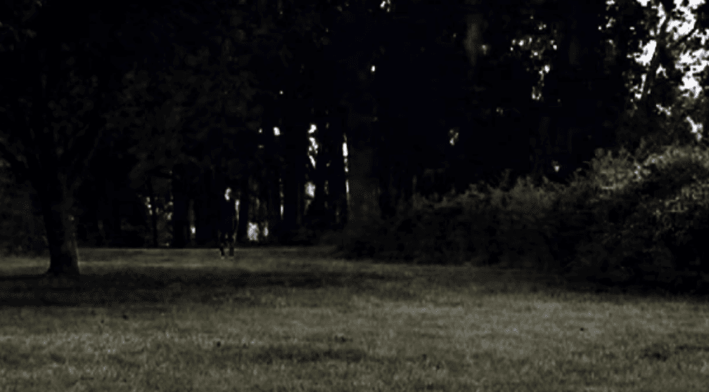 What Is The Marble Hornets Slender Man Documentary?