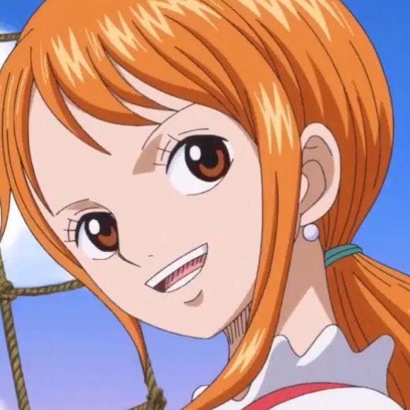 The 10+ Best Nami Quotes From One Piece (With Images)