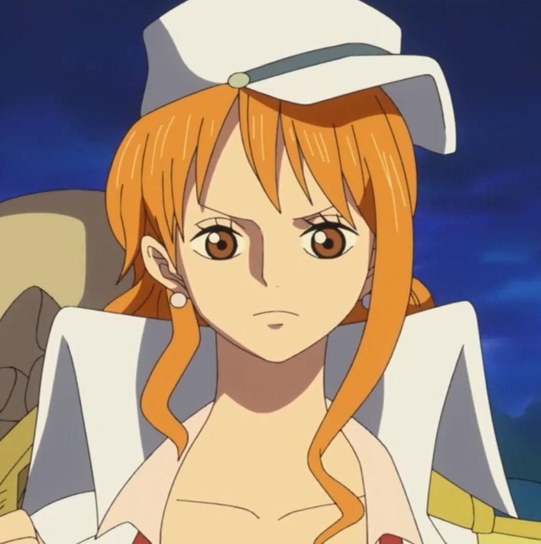 The 10+ Best Nami Quotes From One Piece (With Images)