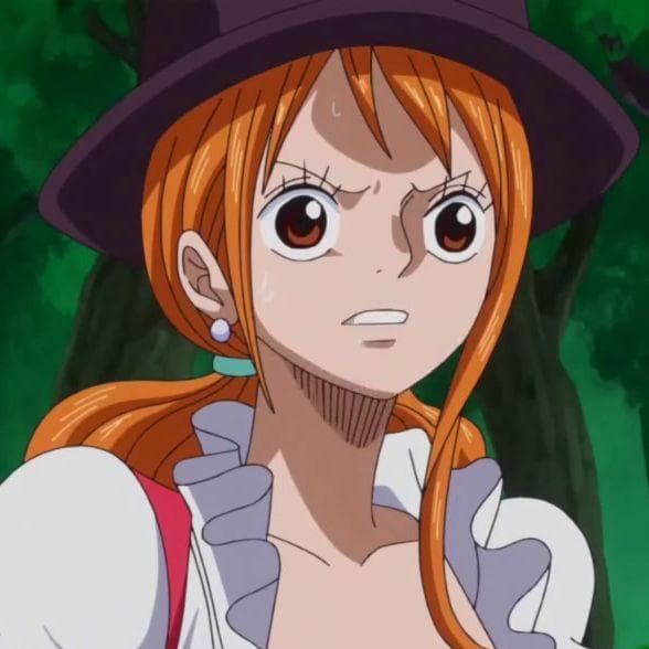 The 10+ Best Nami Quotes From One Piece (With Images)