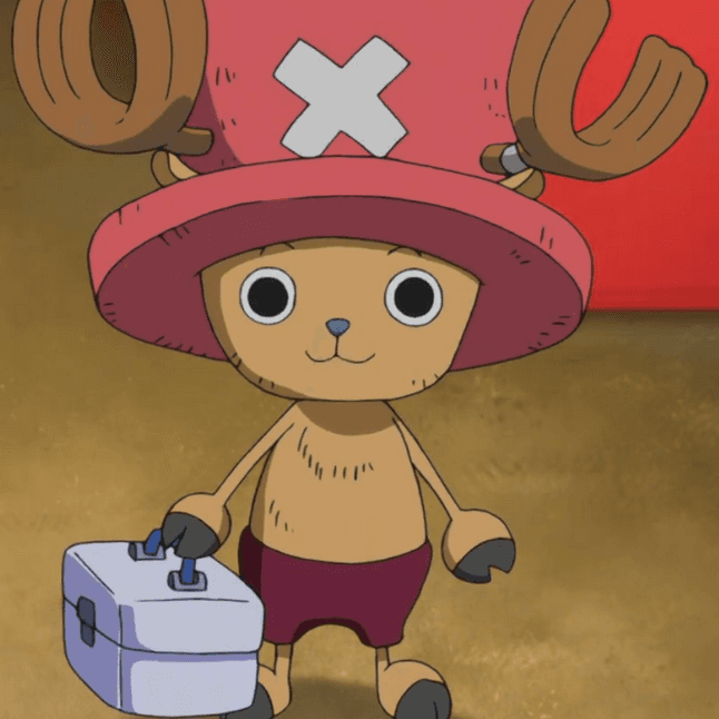 The 20+ Best Tony Tony Chopper Quotes (With Images)