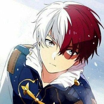 The 15+ Best Shoto Todoroki Quotes From My Hero Academia