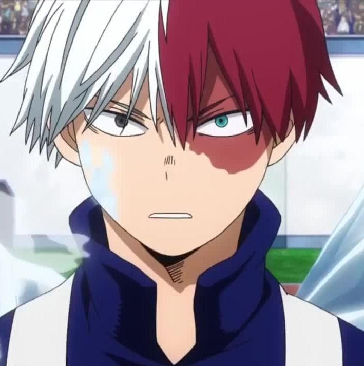 The 15+ Best Shoto Todoroki Quotes From My Hero Academia