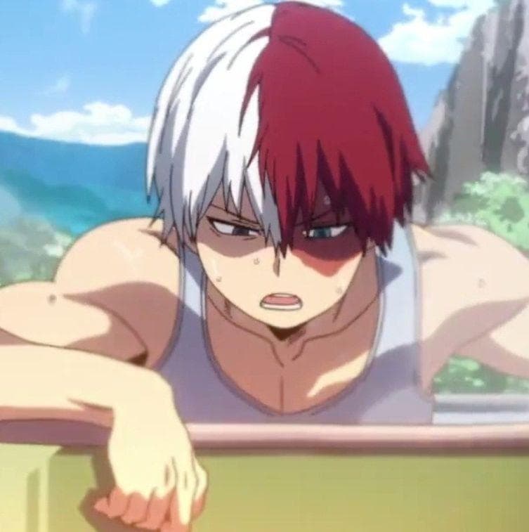 The 15+ Best Shoto Todoroki Quotes From My Hero Academia