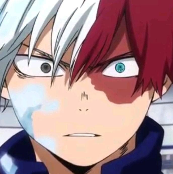 The 15+ Best Shoto Todoroki Quotes From My Hero Academia