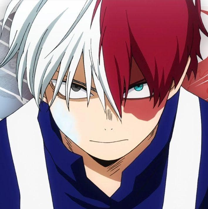 The 15+ Best Shoto Todoroki Quotes From My Hero Academia