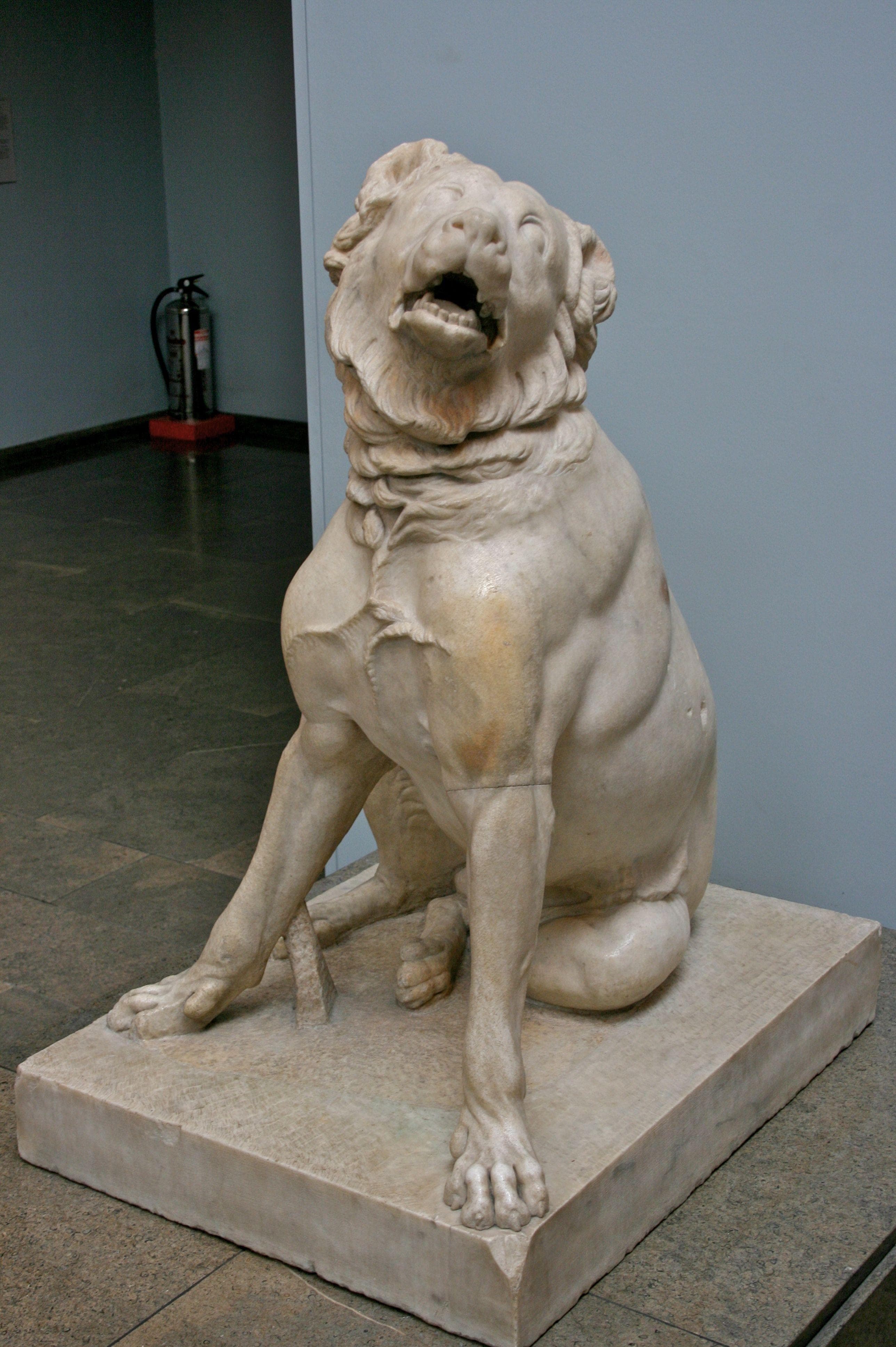 Complete List Of Extinct Dogs, from Ferocious to Cute