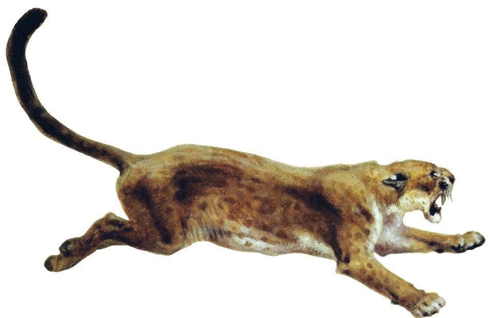 Complete List Of Extinct Big Cats, from Tigers to Lions