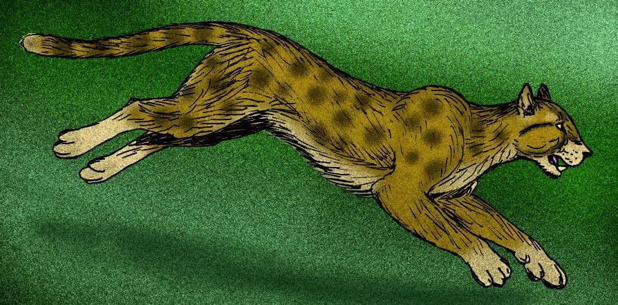 Complete List Of Extinct Big Cats, from Tigers to Lions