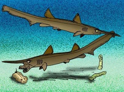 Complete List Of Extinct Sharks, From the Meg to the Otodus
