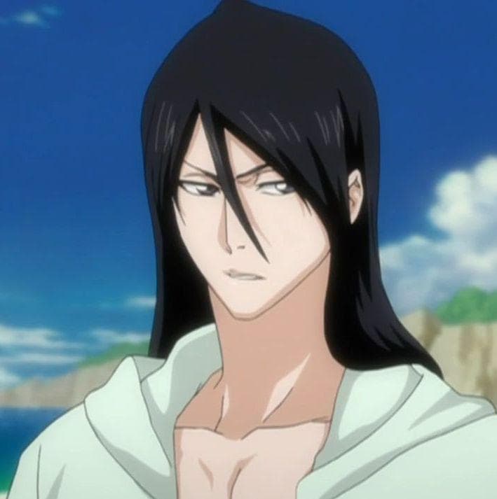 The 25+ Best Byakuya Kuchiki Quotes (With Images)