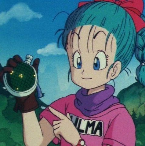 The Best Bulma Briefs Quotes of All Time (With Images)