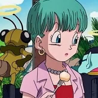 The Best Bulma Briefs Quotes of All Time (With Images)