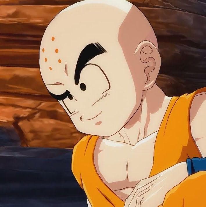 The Best Krillin Quotes of All Time (With Images)