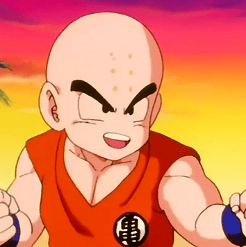 The Best Krillin Quotes of All Time (With Images)