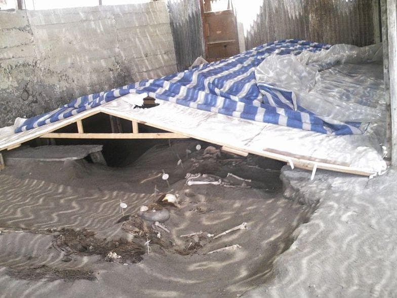 Here's What The Oldest Mummies In The World Look Like