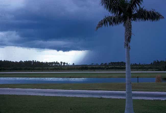 Creepy Florida Unsolved Mysteries Creepy Florida Unsolved Mysteries