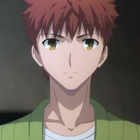 The 20+ Best Shirou Emiya Quotes (With Images)