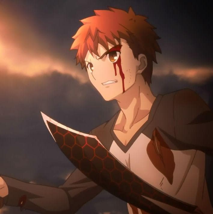 The 20+ Best Shirou Emiya Quotes (With Images)