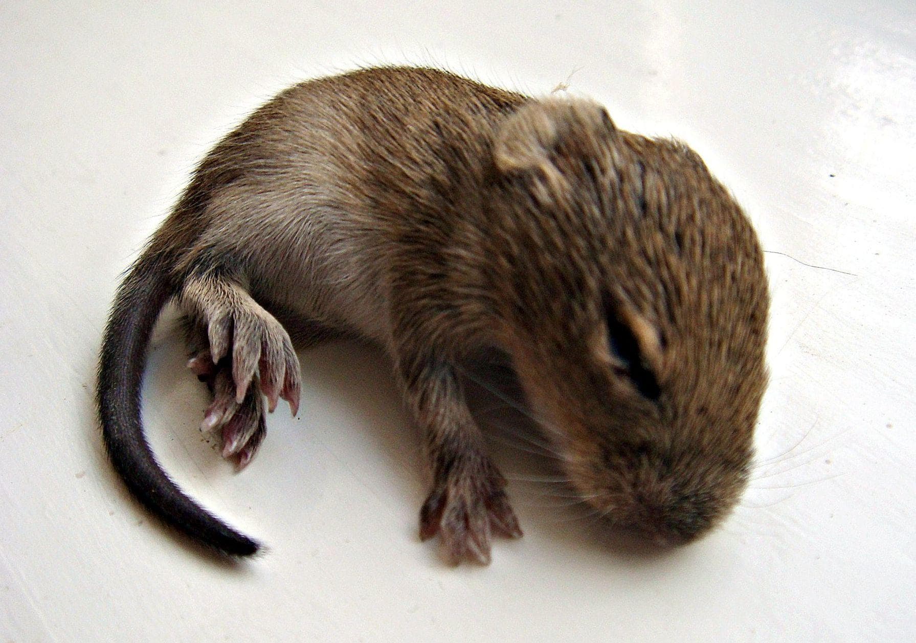 2018 Scientific Breakthroughs & Science News