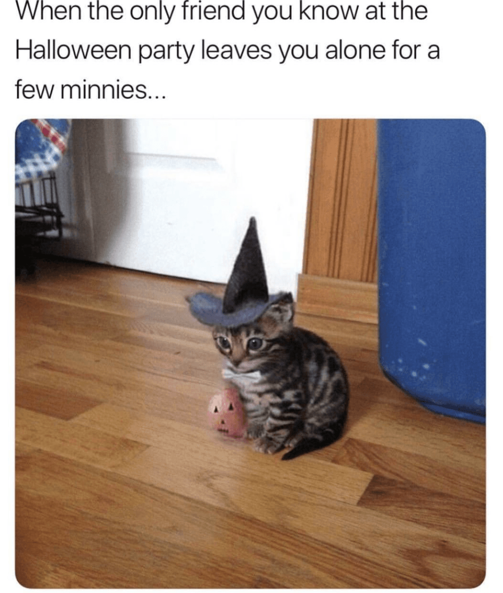 20 Best Halloween Memes That Are Way Too Funny
