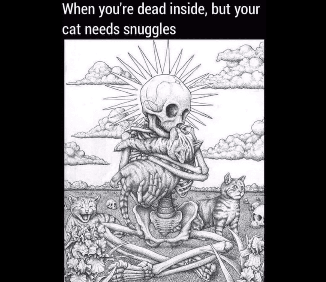 20 Best Adult Goth Memes That Will Make You Laugh Every Time