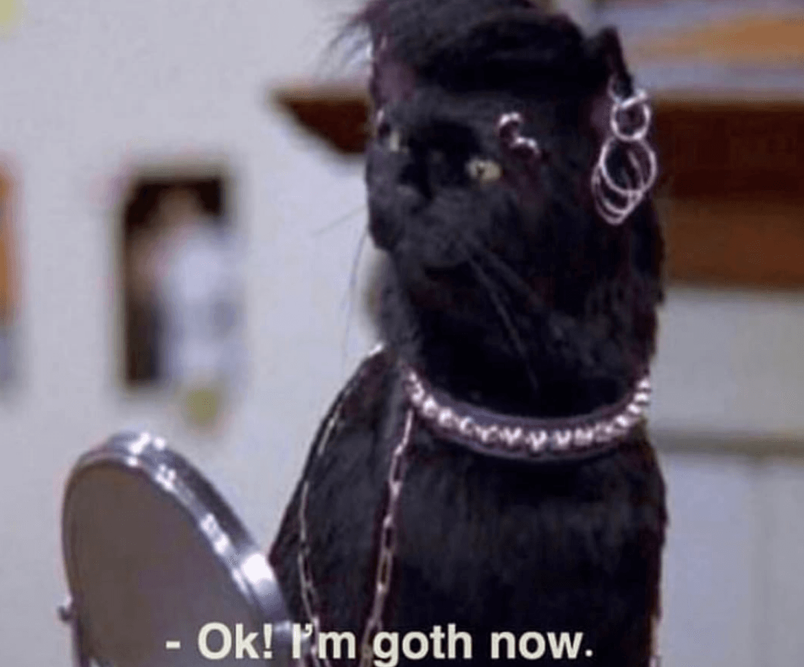 20 Best Adult Goth Memes That Will Make You Laugh Every Time