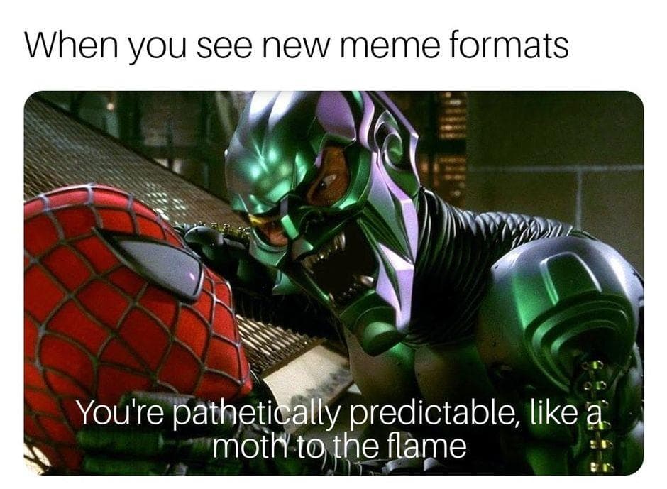 17 Hilarious Moth Memes That Everyone's Talking About Lately
