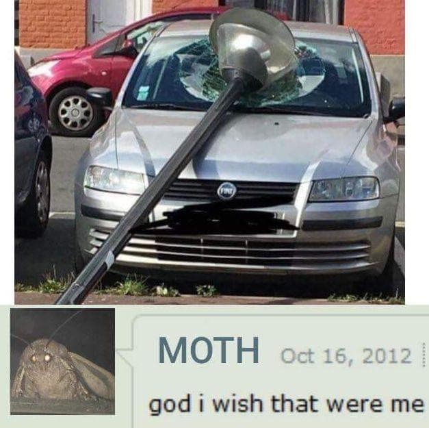 17 Hilarious Moth Memes That Everyone's Talking About Lately