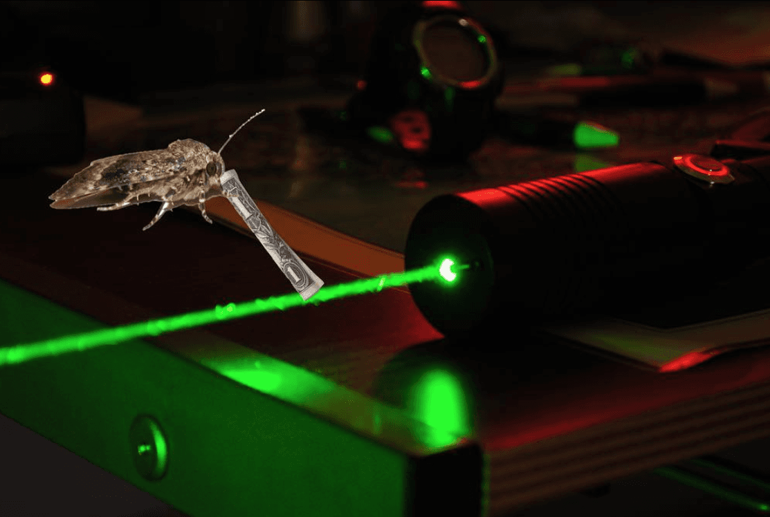 17 Hilarious Moth Memes That Everyone's Talking About Lately