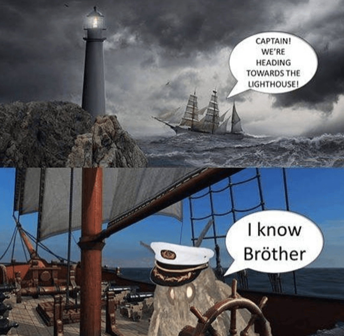 17 Hilarious Moth Memes That Everyone's Talking About Lately