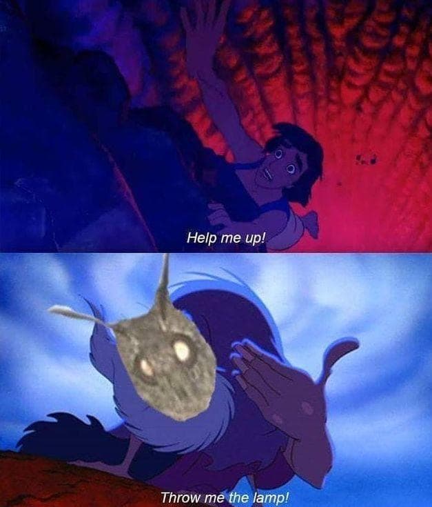 17 Hilarious Moth Memes That Everyone's Talking About Lately