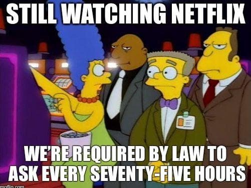 23 Hilarious When Netflix Asks If You're Still Watching Memes