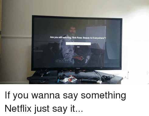 23 Hilarious When Netflix Asks If You're Still Watching Memes