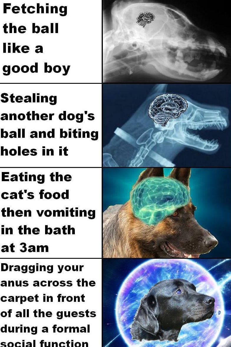 18 Hilarious Brain Expanding Memes That Will Get You Through The Rest ...