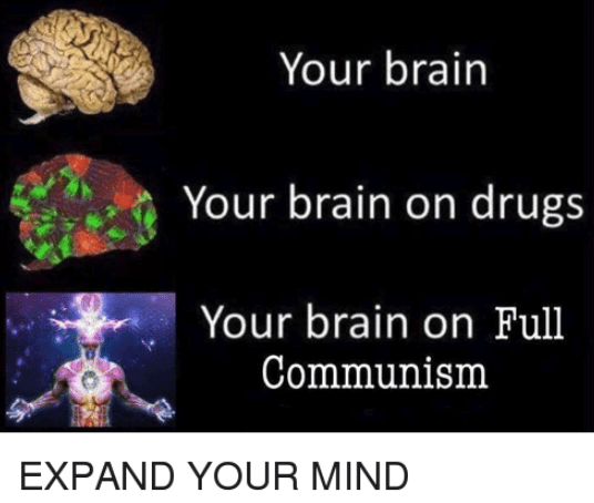 18 Hilarious Brain Expanding Memes That Will Get You Through The Rest ...