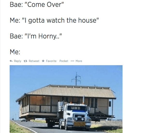 20 "When Bae Says Her Parents Aren't Home" Memes